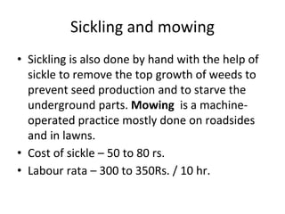 research on mechanical weeder and its method.pptx