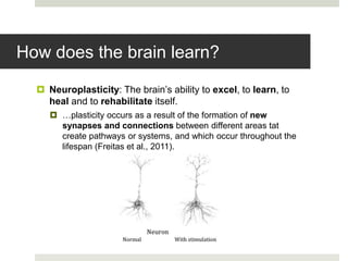 Research on the Brain and Learning by Tracey Tokuhama-2015 | PPTX