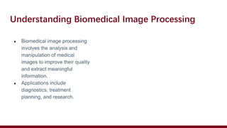 Research Outline on Biomedical Image Processing .pdf