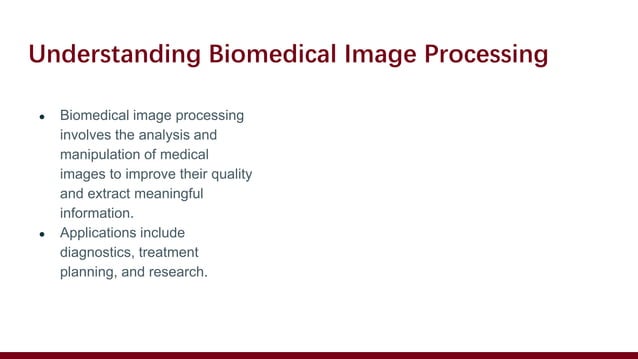 Research Outline on Biomedical Image Processing .pdf