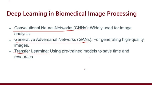 Research Outline on Biomedical Image Processing .pdf