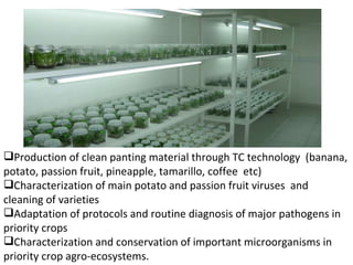 Gahakwa - Overview of agricultural research in Rwanda for the past 10 ...