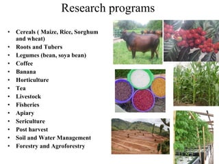 Gahakwa - Overview of agricultural research in Rwanda for the past 10 ...