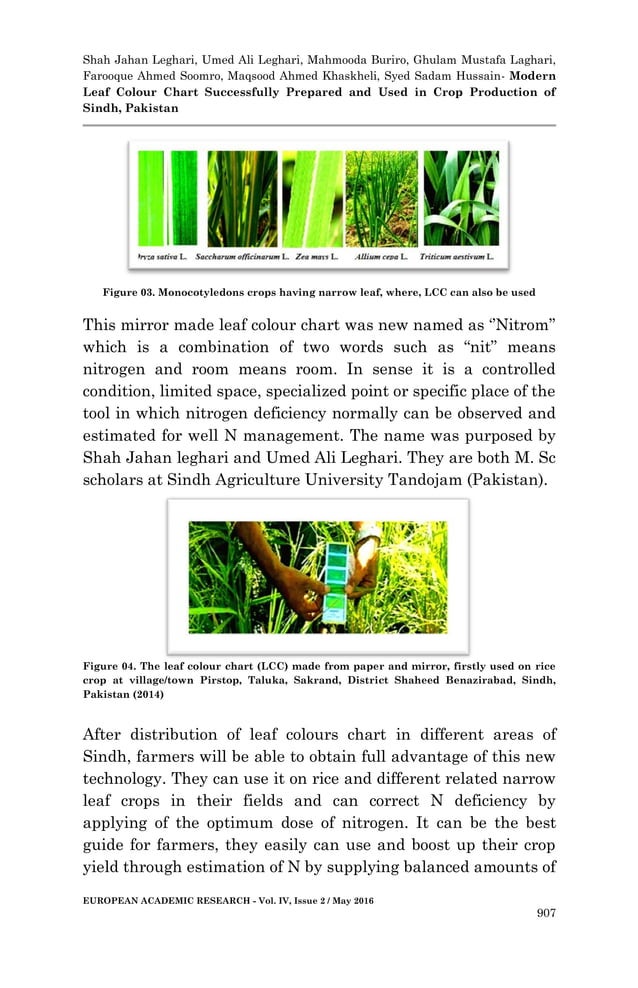 Modern Leaf Colour Chart Successfully Prepared and Used in Crop ...