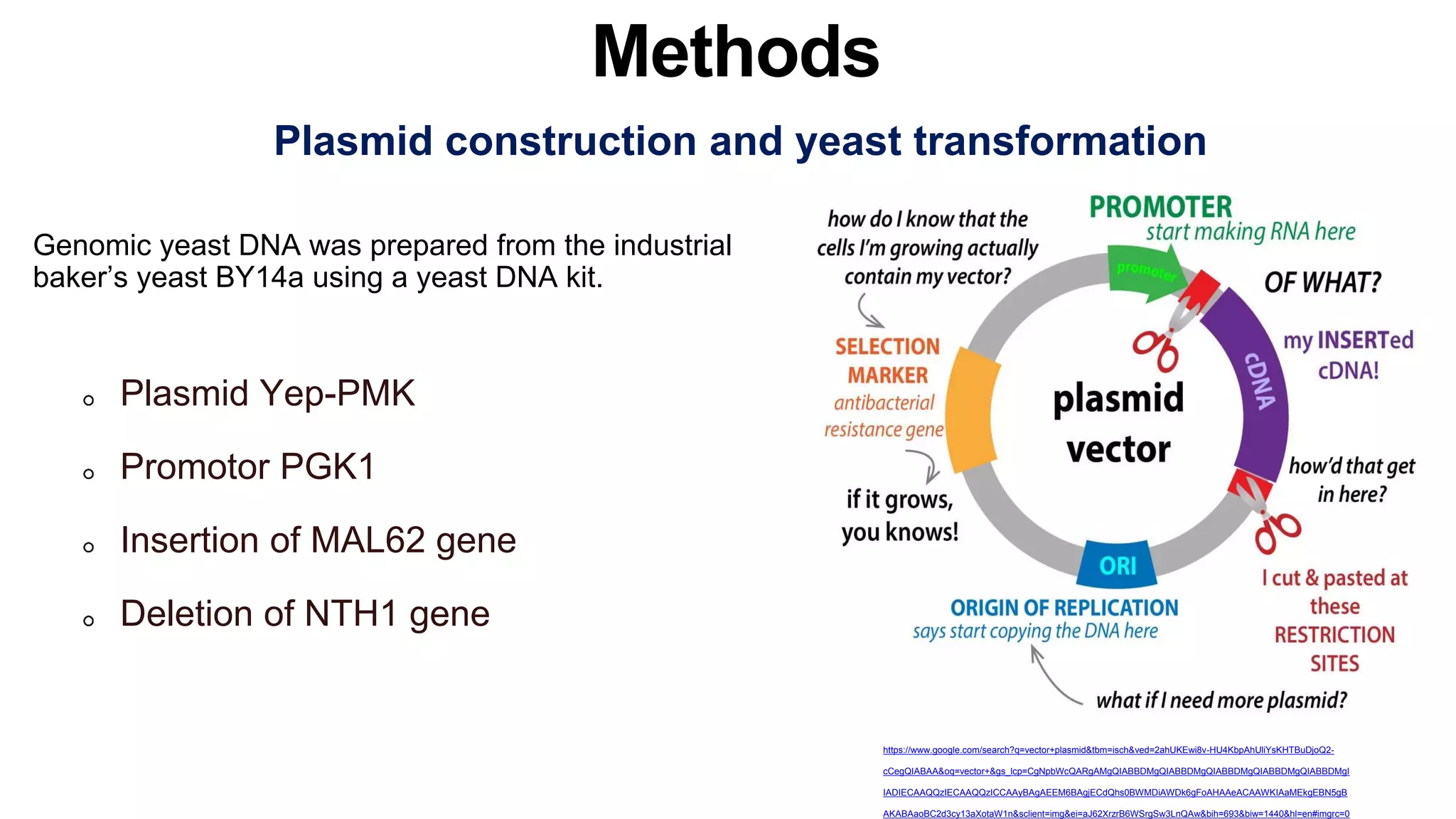 Food biotechnology and its application in bakery industry | PPTX