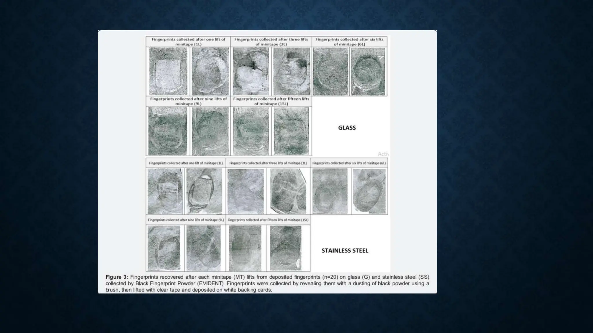 dual recovery of dna & fingerprints by minitapes | PPT