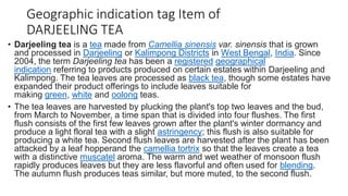 RESEARCH PAPER ON.pdf