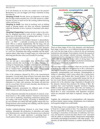 Researchpaper the chemistry-of-love | PDF