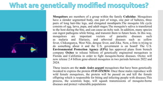 Research plans to release billions of genetically modified | PPT