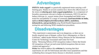 Research plans to release billions of genetically modified | PPT