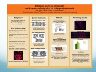 Research Poster Creation | PPTX