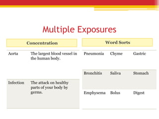 Science Vocabulary Action Research | PPT