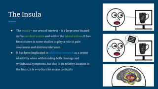 The Effects of TMS on Insula-Based FC | PPTX