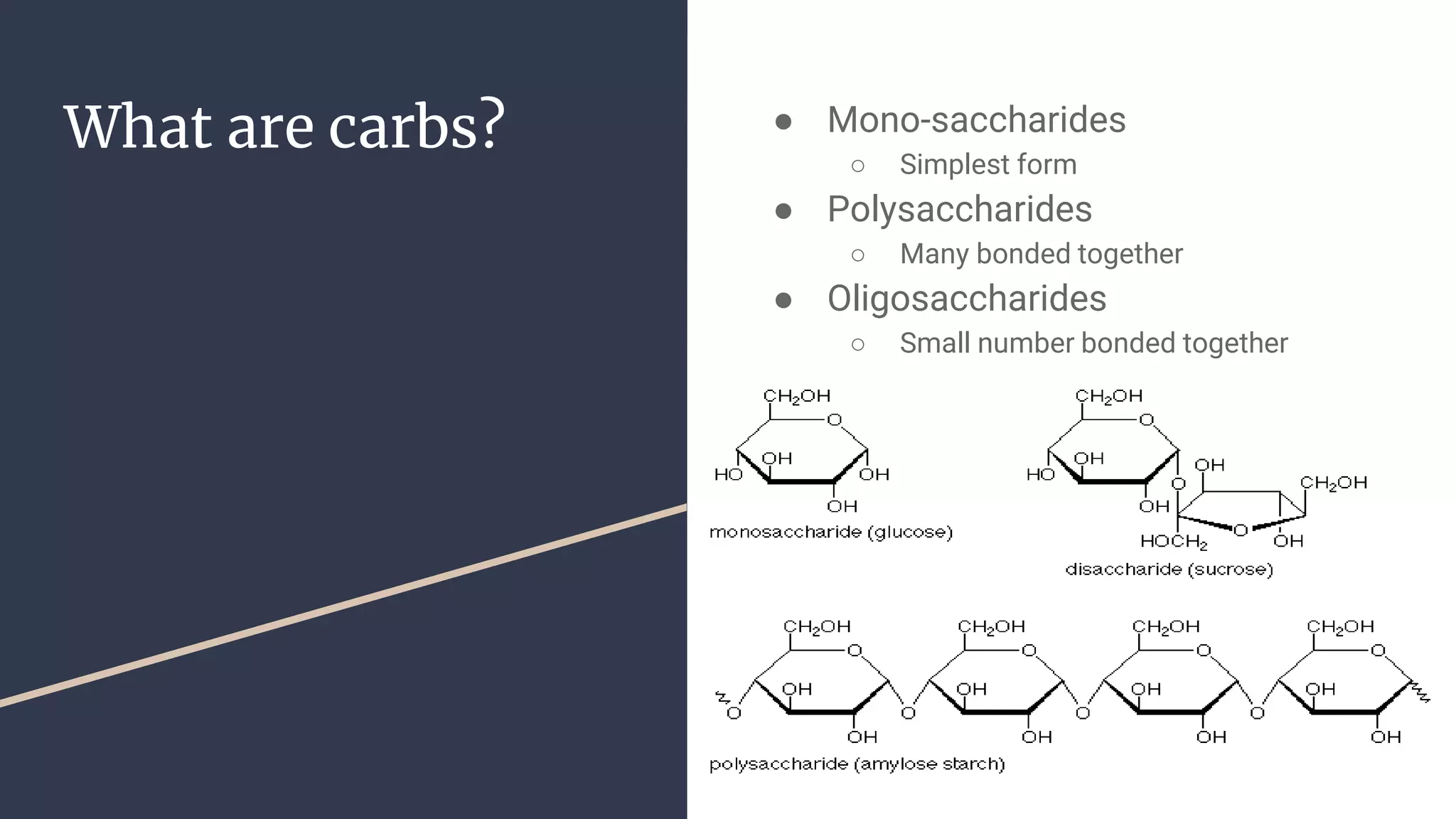 Carb Loading and Energy in Endurance Performance Sports | PPTX