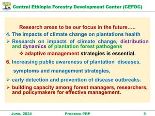 Research Priority areas in Forest Pathology or protection final .pptx