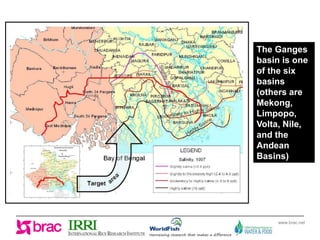 Research progress of brac with ganges basin development | PPT