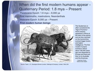 Researchproject humanevolutioniii-110722152715-phpapp01 | PPTX