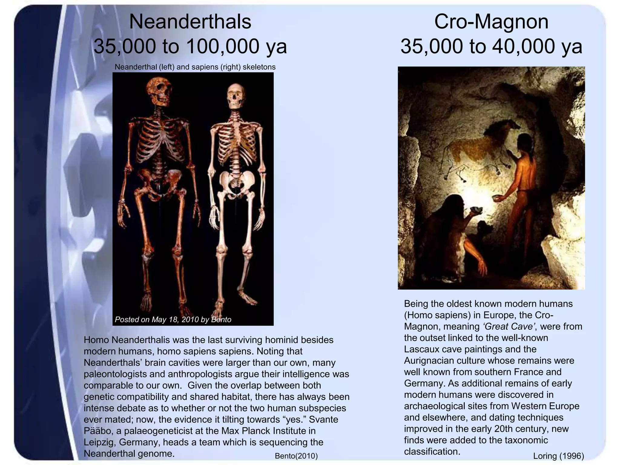 Research project - human evolution | PPTX