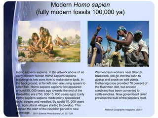 Research project - human evolution | PPTX