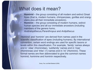 Research project - human evolution | PPTX