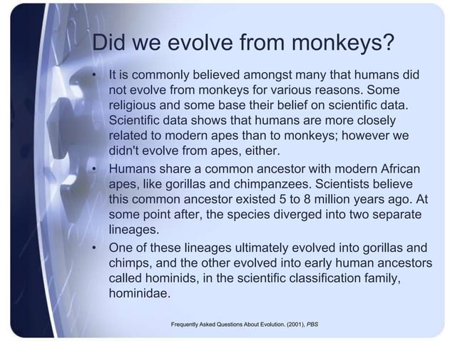 Research project - human evolution | PPTX