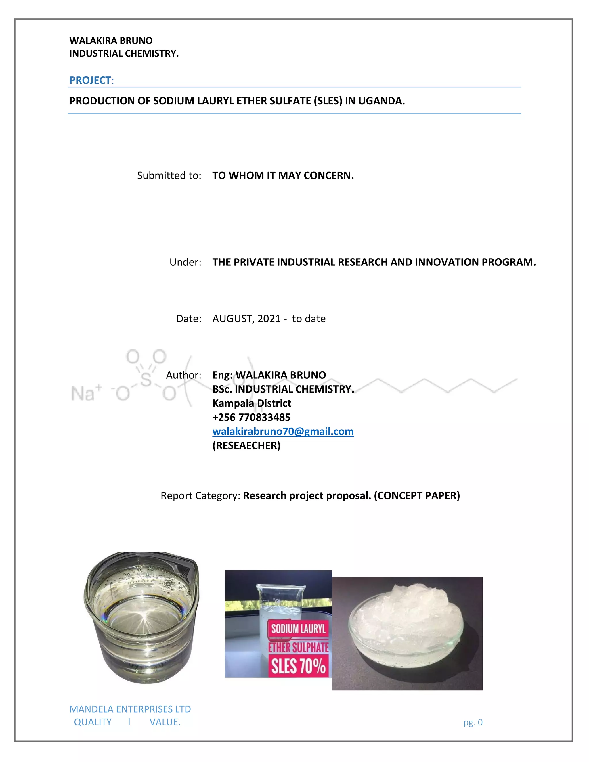 RESEARCH PROJECT - SLES.pdf