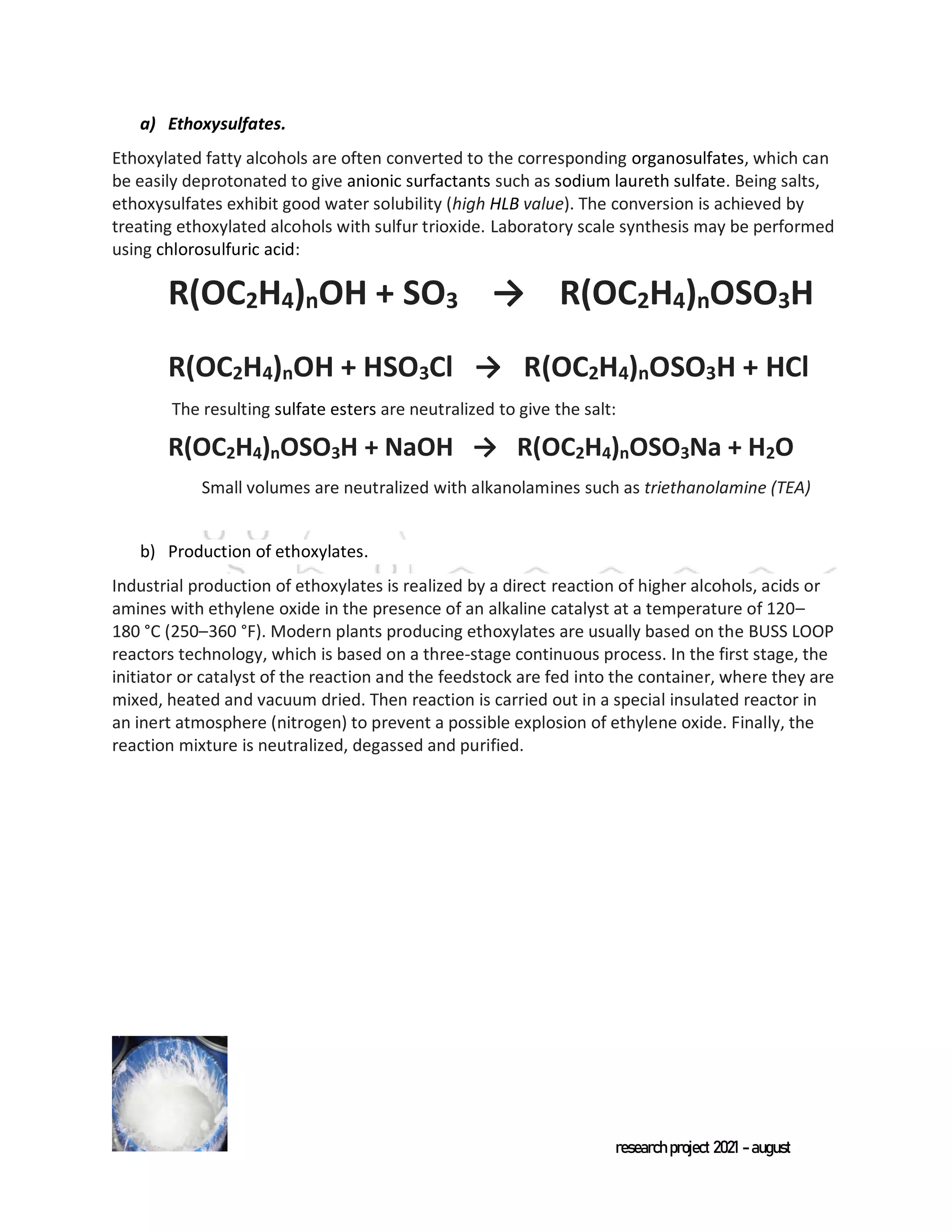 RESEARCH PROJECT - SLES.pdf