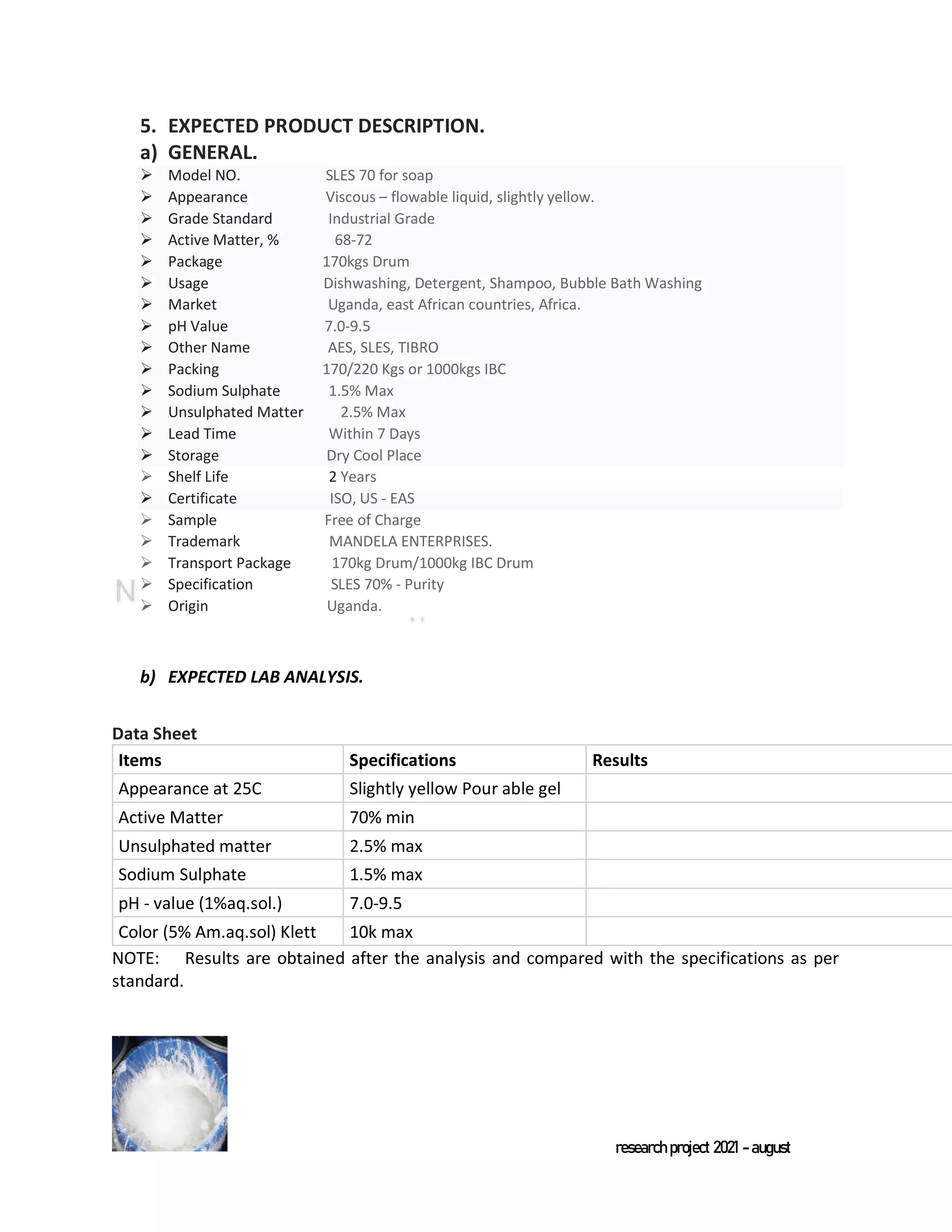 RESEARCH PROJECT - SLES.pdf