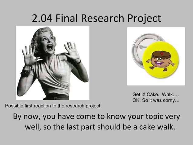 Research project overview | PPT