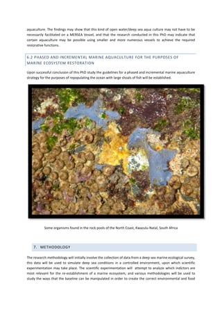 MERSEA PhD Research Proposal | PDF