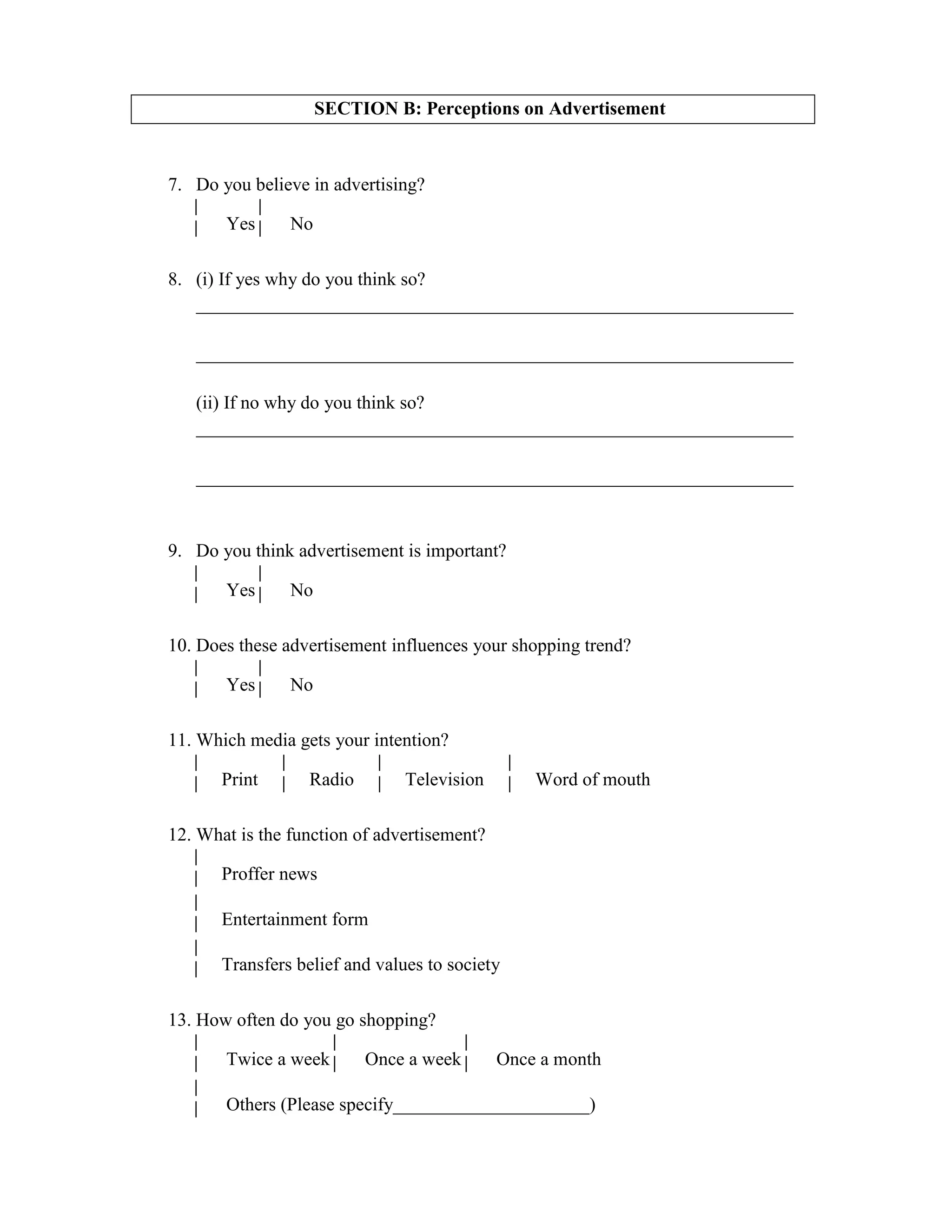 Questionnaire on Advertisement | DOCX