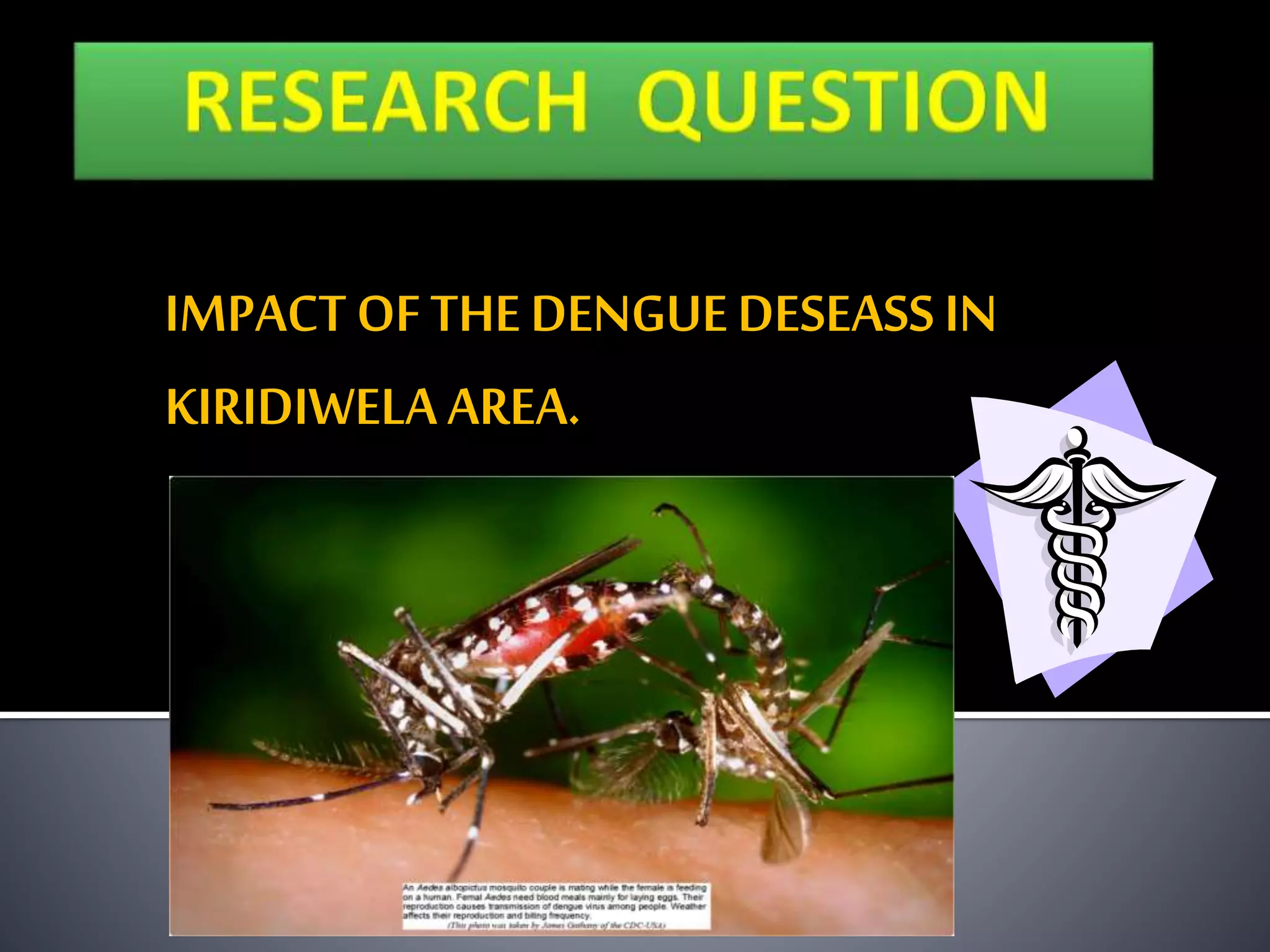 Research question dengue | PPT