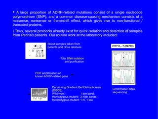 Research report (alternative splicing, protein structure; retinitis ...
