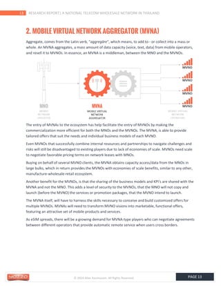 RESEARCH REPORT A National Telecom Wholesale Network | PDF