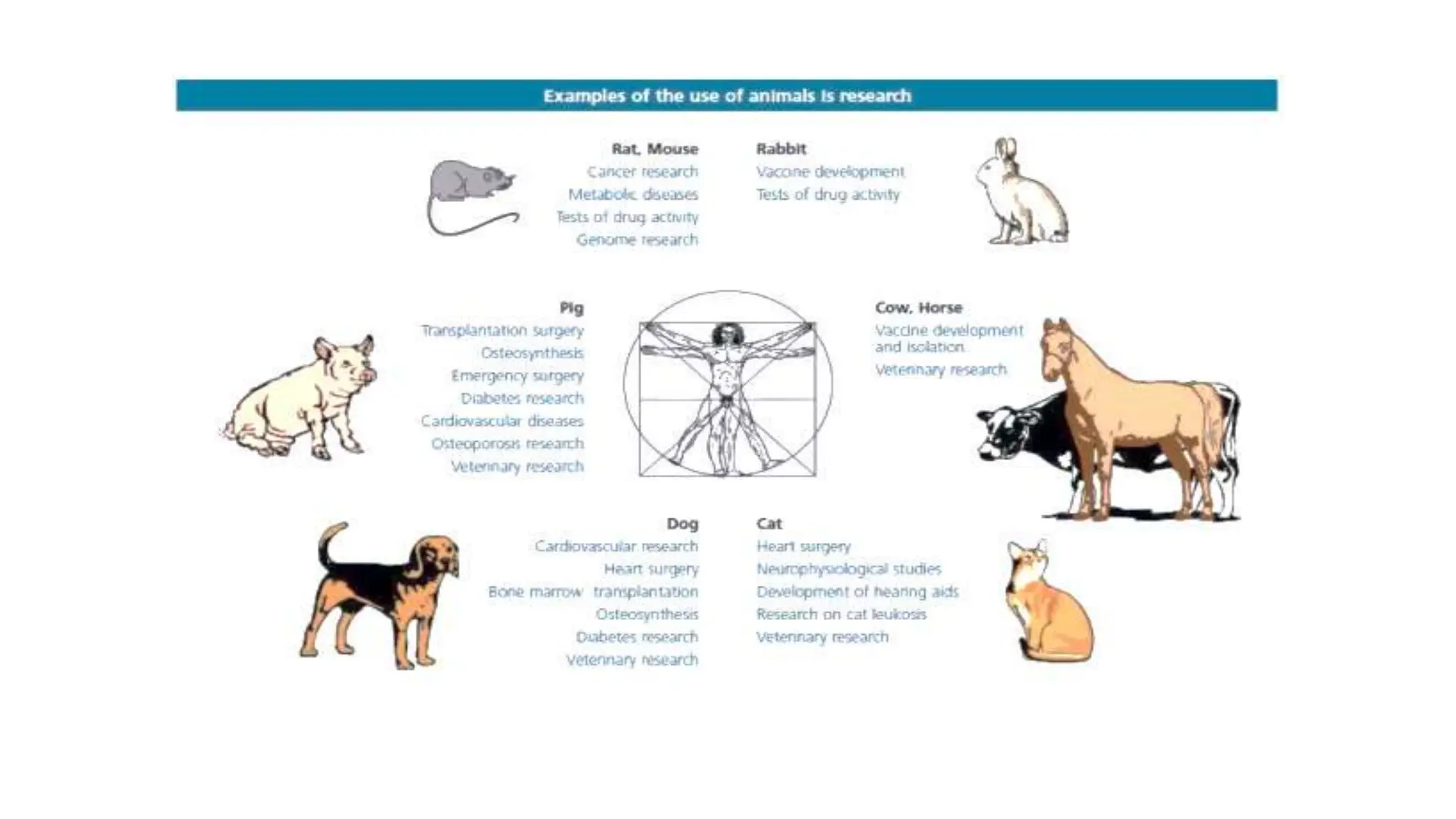 research safety in laboratory ,welfare of animal use in research - .pptx