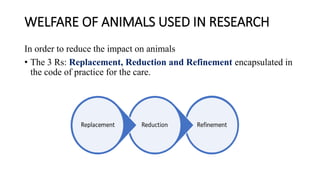research safety in laboratory ,welfare of animal use in research - .pptx