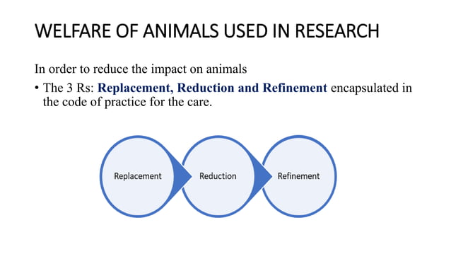 research safety in laboratory ,welfare of animal use in research - .pptx