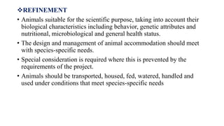 research safety in laboratory ,welfare of animal use in research - .pptx