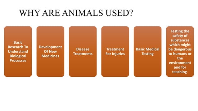 research safety in laboratory ,welfare of animal use in research - .pptx