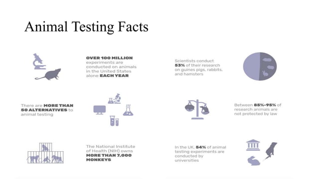 research safety in laboratory ,welfare of animal use in research - .pptx