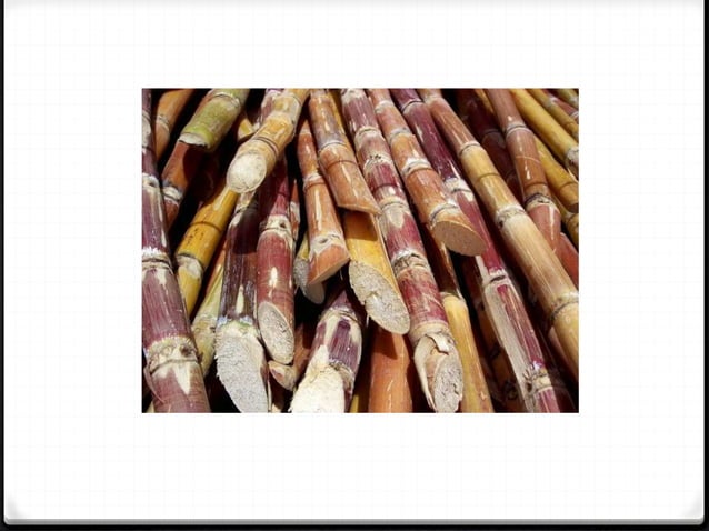 Research!!!! (sugar cane pulp) | PPTX