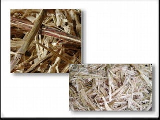 Research!!!! (sugar cane pulp) | PPTX