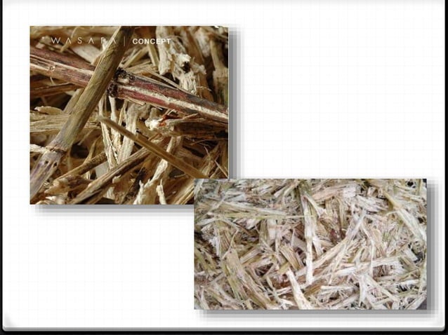 Research!!!! (sugar cane pulp) | PPTX