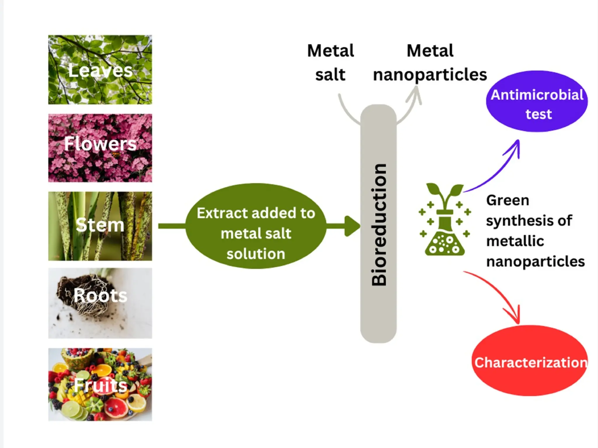 Nanoparticles are tiny particles of matter that range in size from 1 to ...