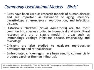 Research with animals and animal models.pptx