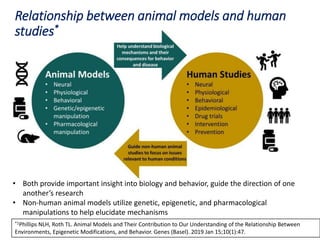 Research with animals and animal models.pptx