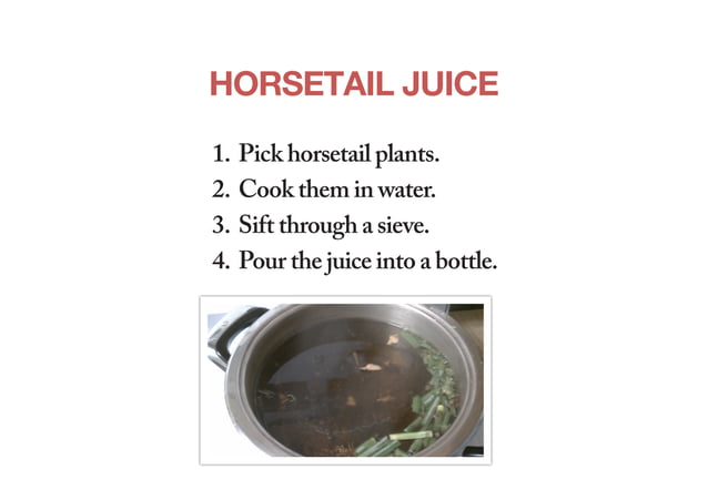 Traditional Recipes of the Kven People in Norway | PPT