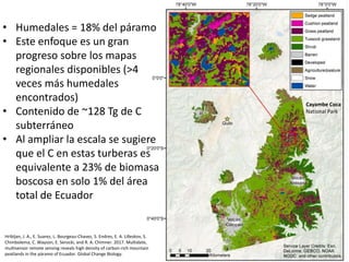 Reservas de carbono y ciclo de carbono de las turberas andinas | PPTX