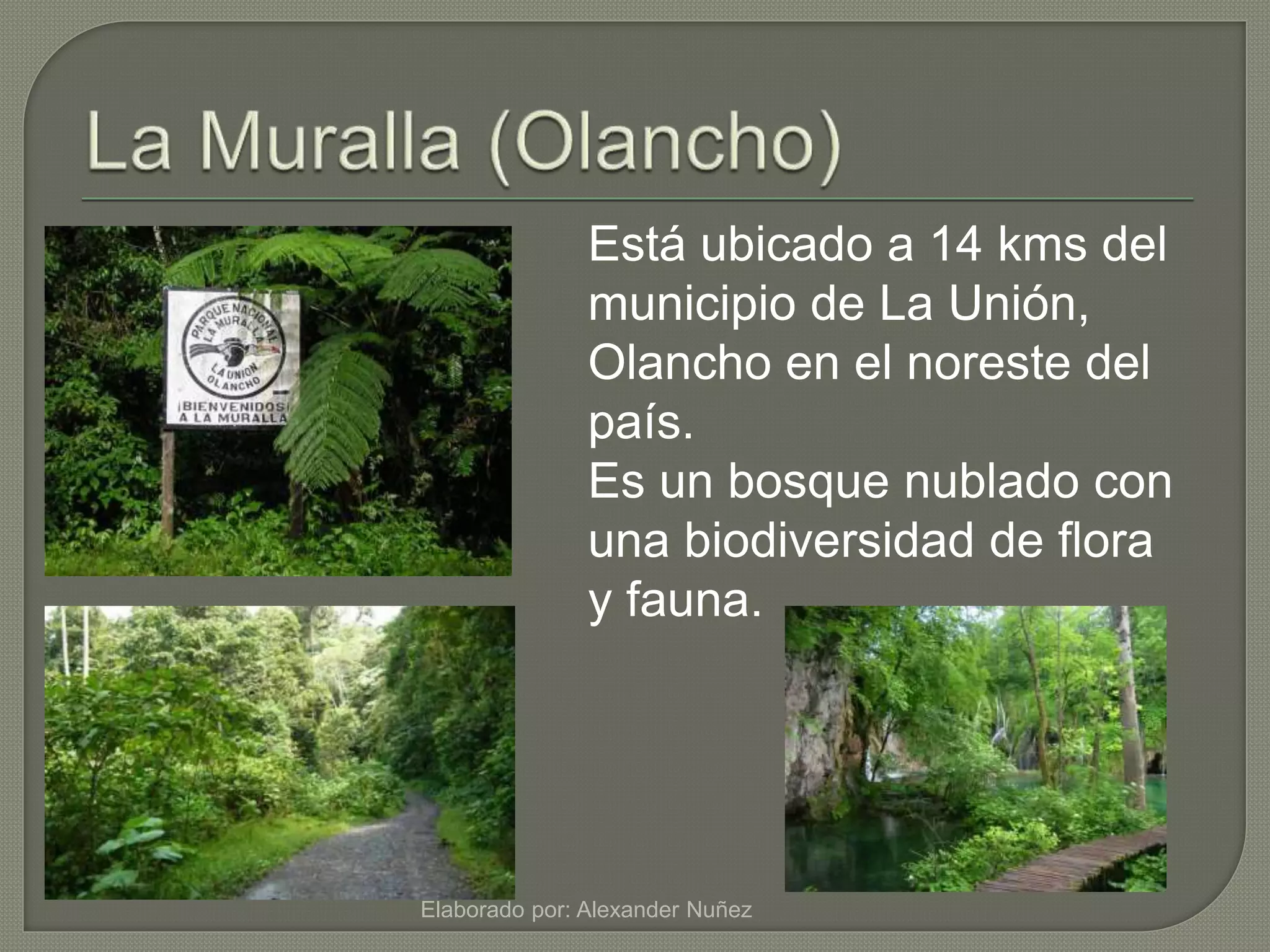 Reservas Naturales de Honduras o Parques Nacionales | PPTX