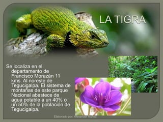 Reservas Naturales de Honduras o Parques Nacionales | PPTX